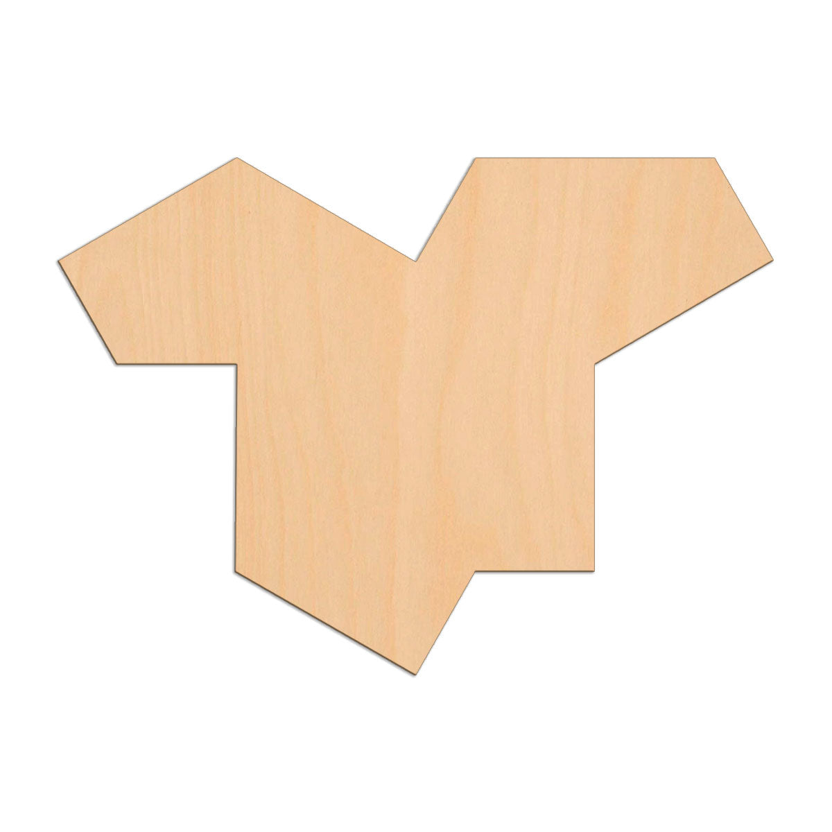 Einstein Tile | Wood Craft Shapes